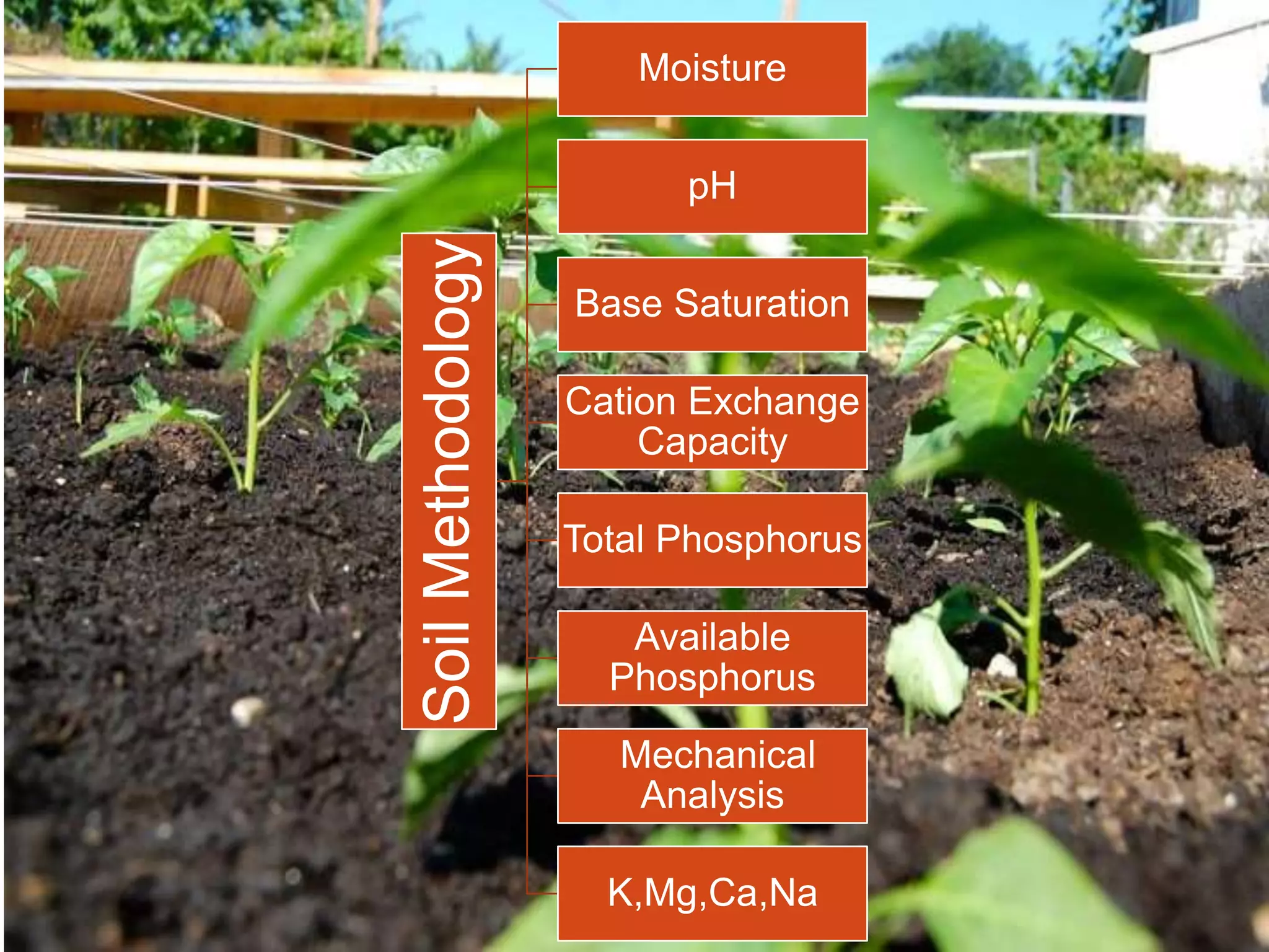 Soil analysis presentation (amie) | PPTX