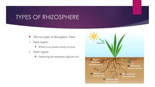 Soil and Agricultural Microbiology .pptx
