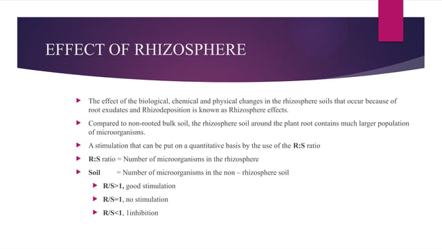 Soil and Agricultural Microbiology - Rhizosphere .pptx