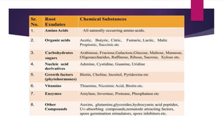 Soil and Agricultural Microbiology - Rhizosphere .pptx