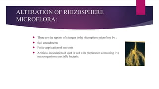 Soil and Agricultural Microbiology - Rhizosphere .pptx