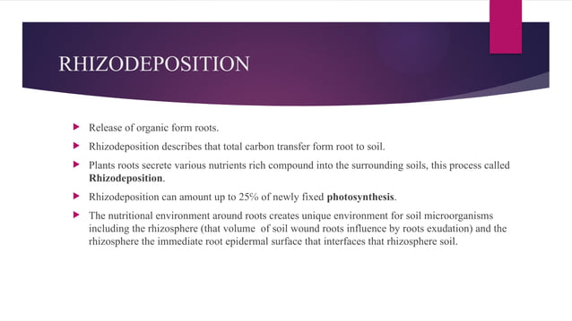 Soil and Agricultural Microbiology - Rhizosphere .pptx