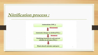 Nitrification reaction - Soil and agricultural microbiology | PPT