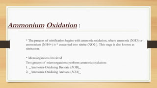 Nitrification reaction - Soil and agricultural microbiology | PPT