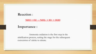 Nitrification reaction - Soil and agricultural microbiology | PPT
