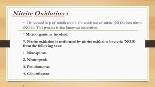 Nitrification reaction - Soil and agricultural microbiology | PPT