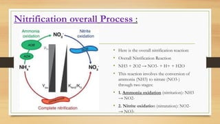 Nitrification reaction - Soil and agricultural microbiology | PPT