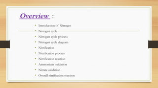 Nitrification reaction - Soil and agricultural microbiology | PPT