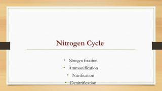 Nitrification reaction - Soil and agricultural microbiology | PPT