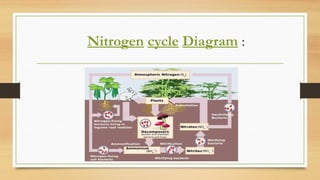 Nitrification reaction - Soil and agricultural microbiology | PPTX