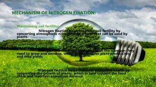 soil and agriculture microbiology-1.pdf