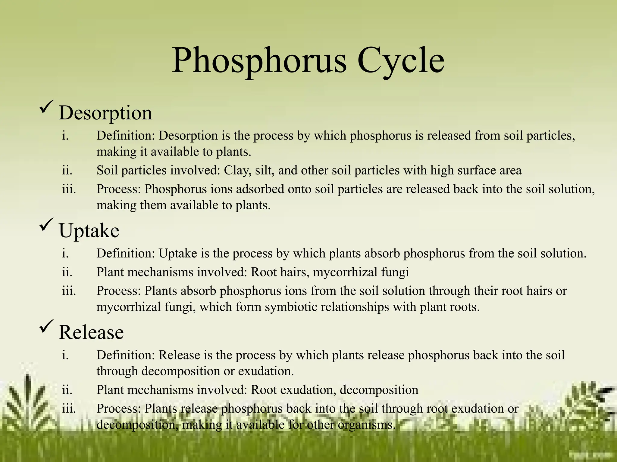 Microbial transformation of phosphorus sulphur and micronutrients in ...