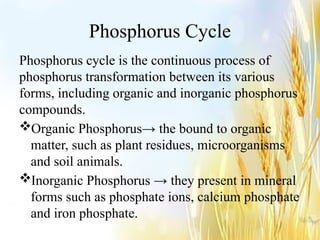 Microbial transformation of phosphorus sulphur and micronutrients in ...