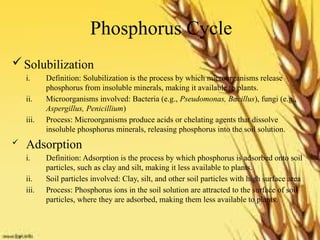 Microbial transformation of phosphorus sulphur and micronutrients in ...