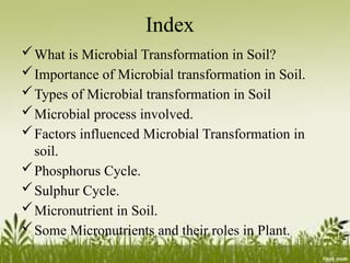 Microbial transformation of phosphorus sulphur and micronutrients in ...