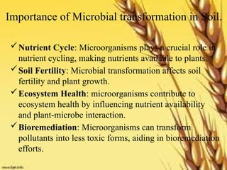 Microbial transformation of phosphorus sulphur and micronutrients in ...