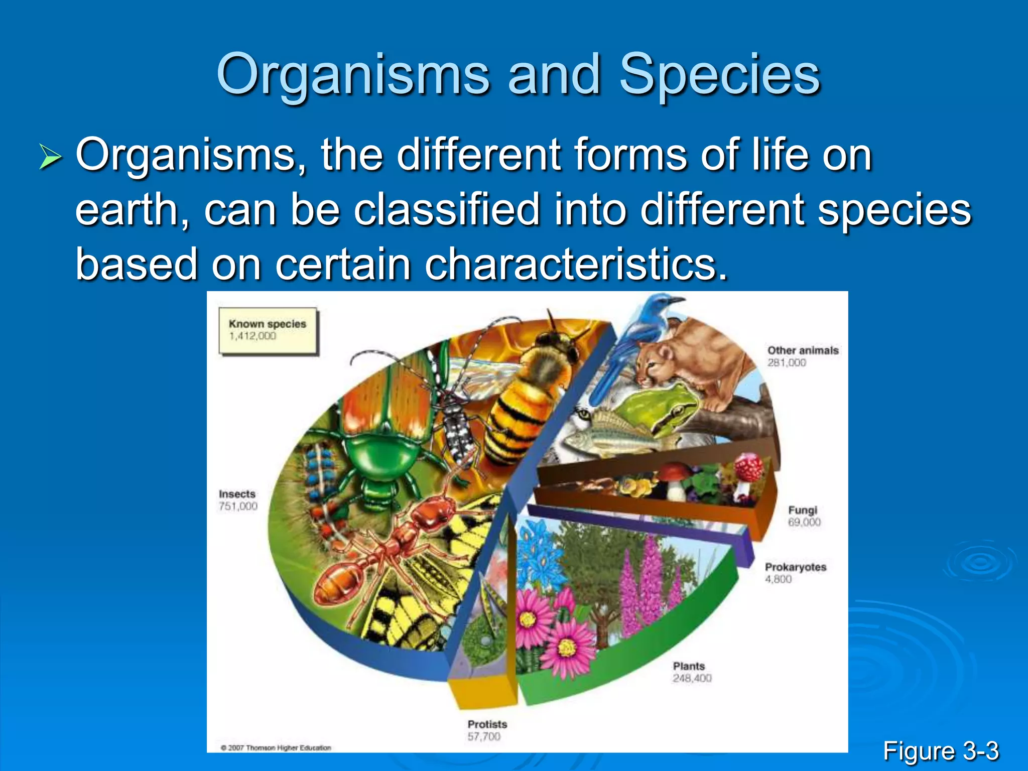 Soil and biomes and cycles ppt | PPT