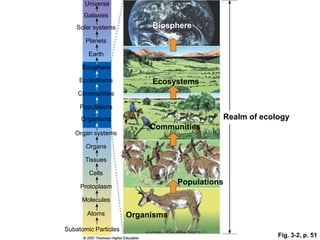 Soil and biomes and cycles ppt | PPTX
