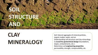 Soil Structure and Clay Mineralogy.pptx