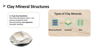 Soil Structure and Clay Mineralogy.pptx