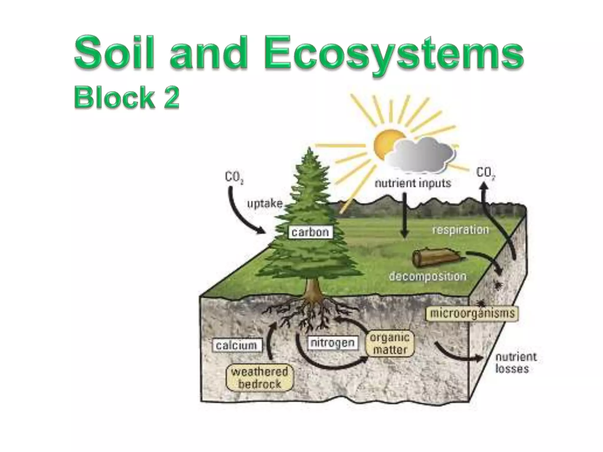Soil and Ecosystems | PPTX