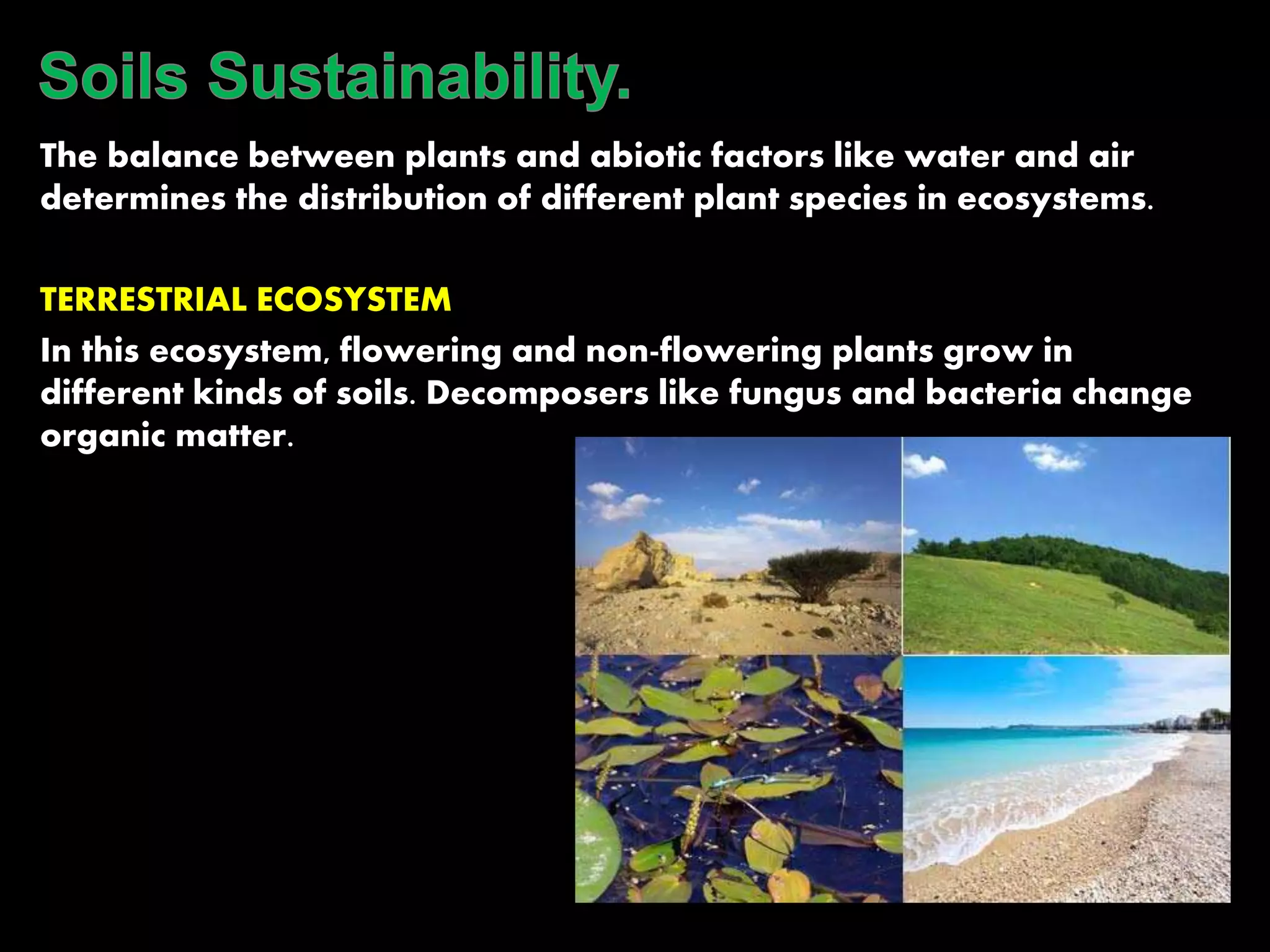 Soil and Ecosystems | PPTX