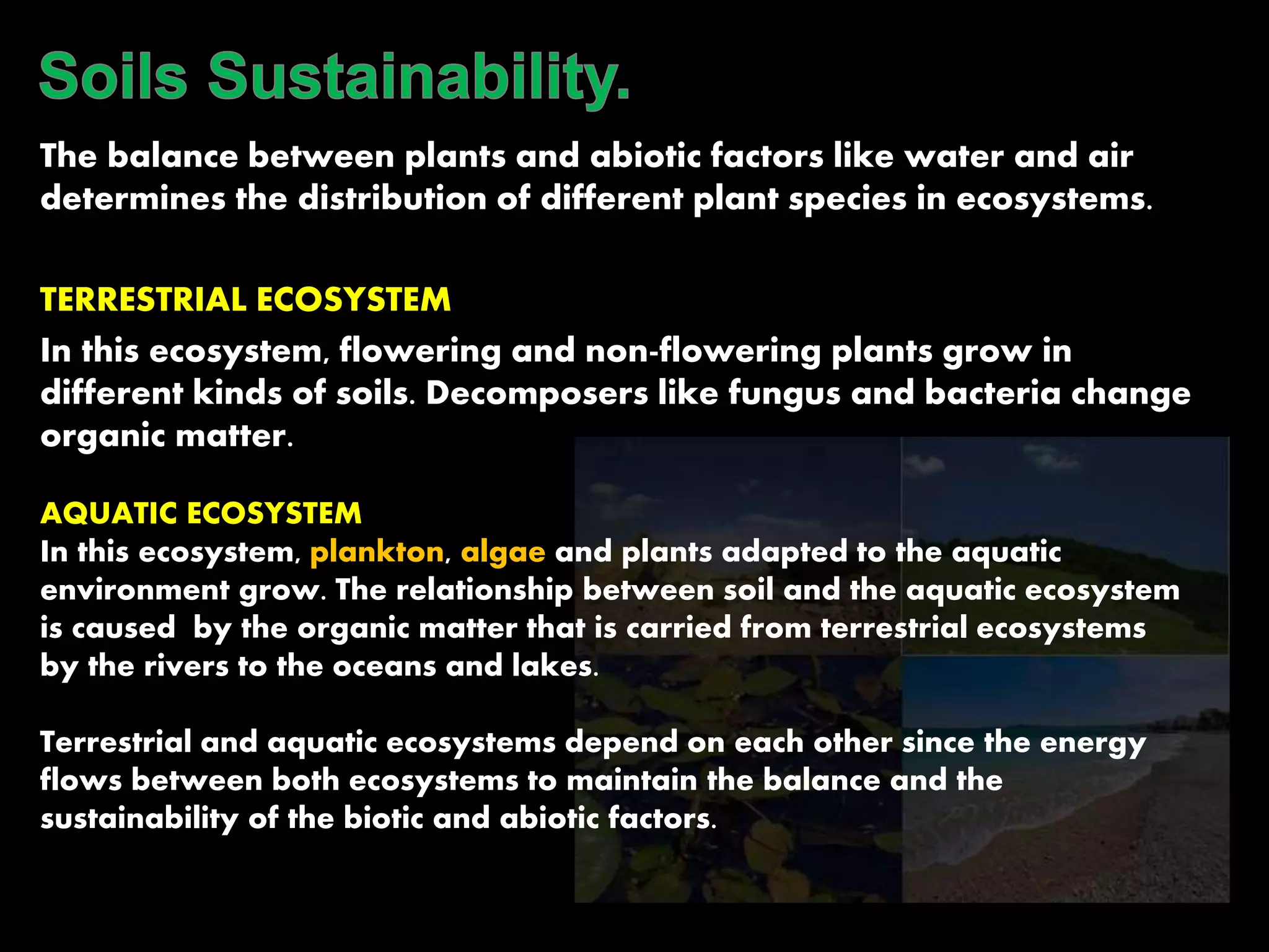 Soil and Ecosystems | PPTX