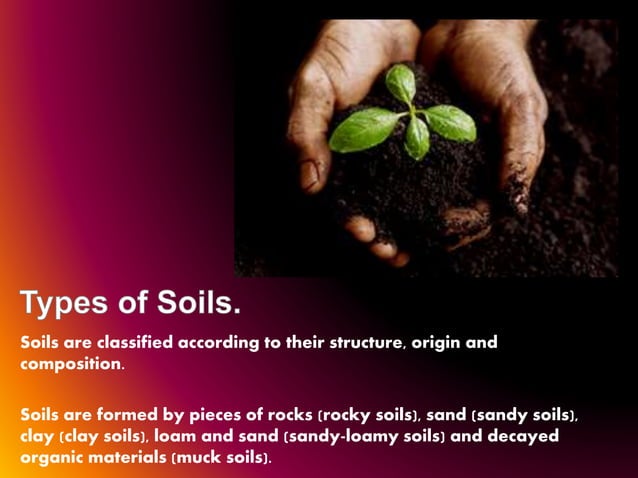 Soil and Ecosystems | PPTX | Geology | Science