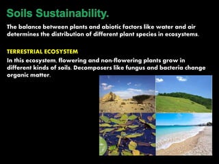 Soil and Ecosystems | PPTX