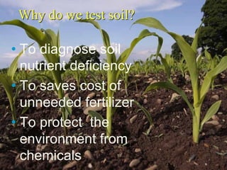 Soil and its properties by Priyanka Naik.pdf