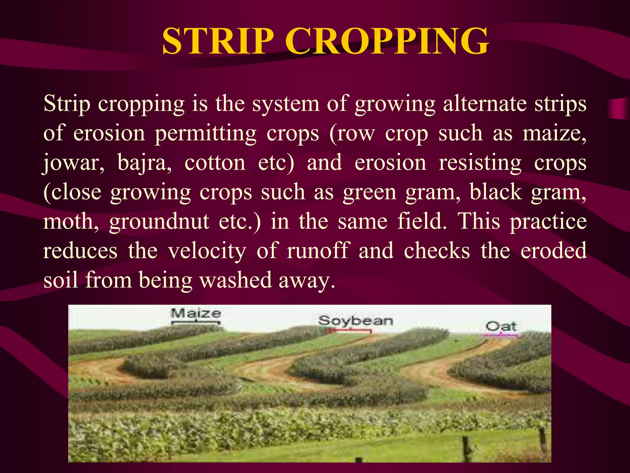 Soil and moisture conservation techniques | PPTX