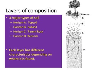 Soil and productivity | PPT