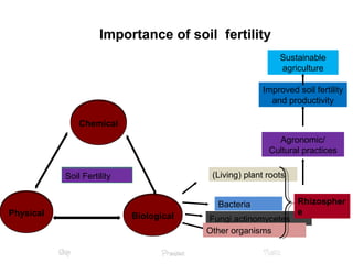 Soil and productivity | PPT