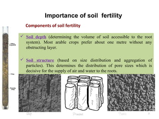 Soil and productivity | PPT