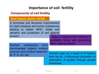 Soil and productivity | PPT