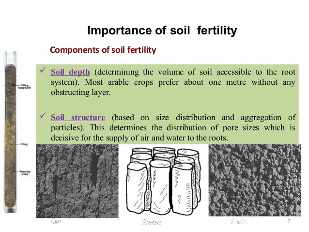 Soil and productivity