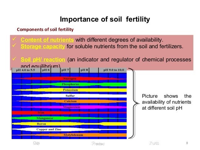 Soil and productivity