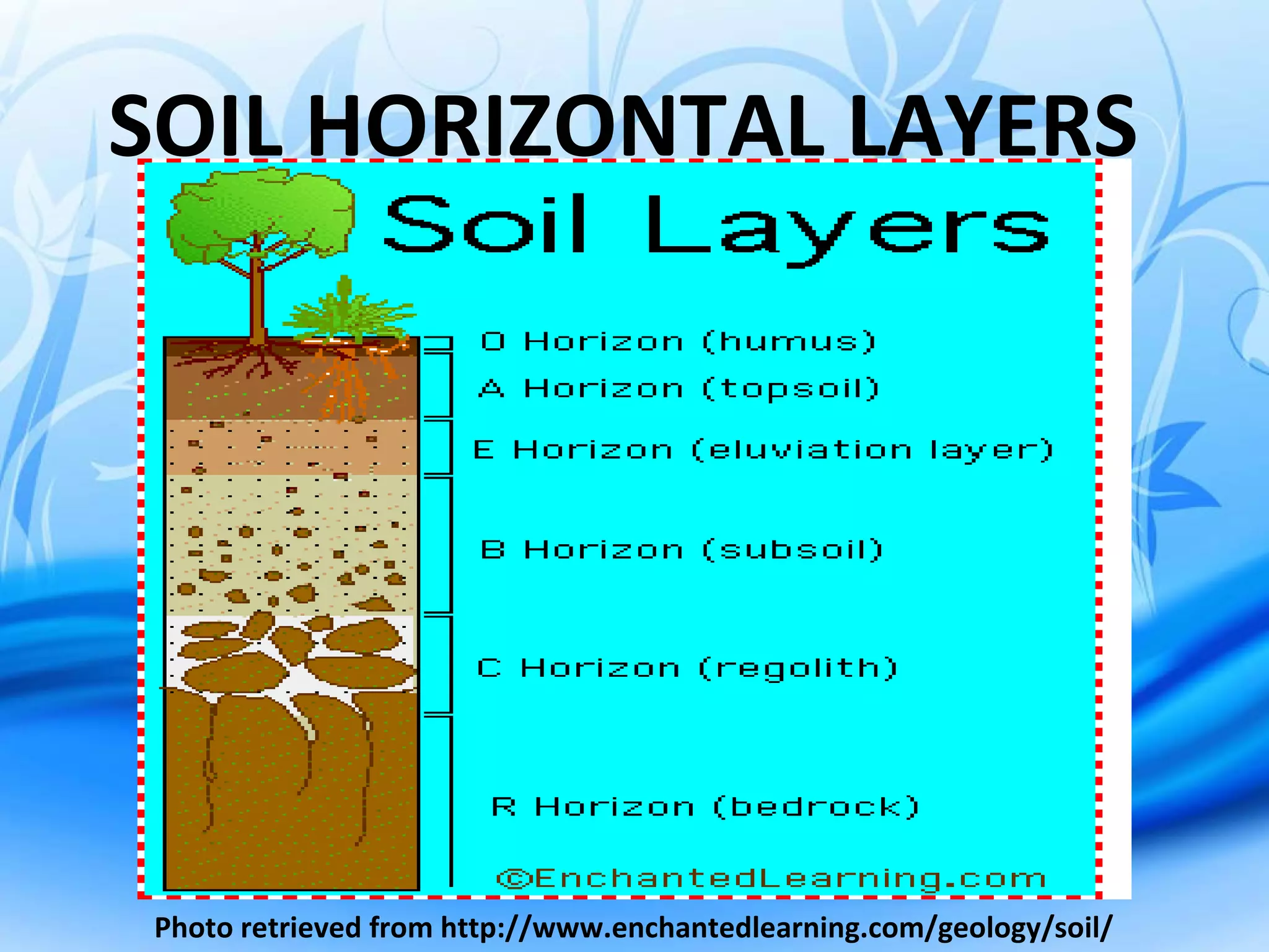 Soil and soil diversity | PPT
