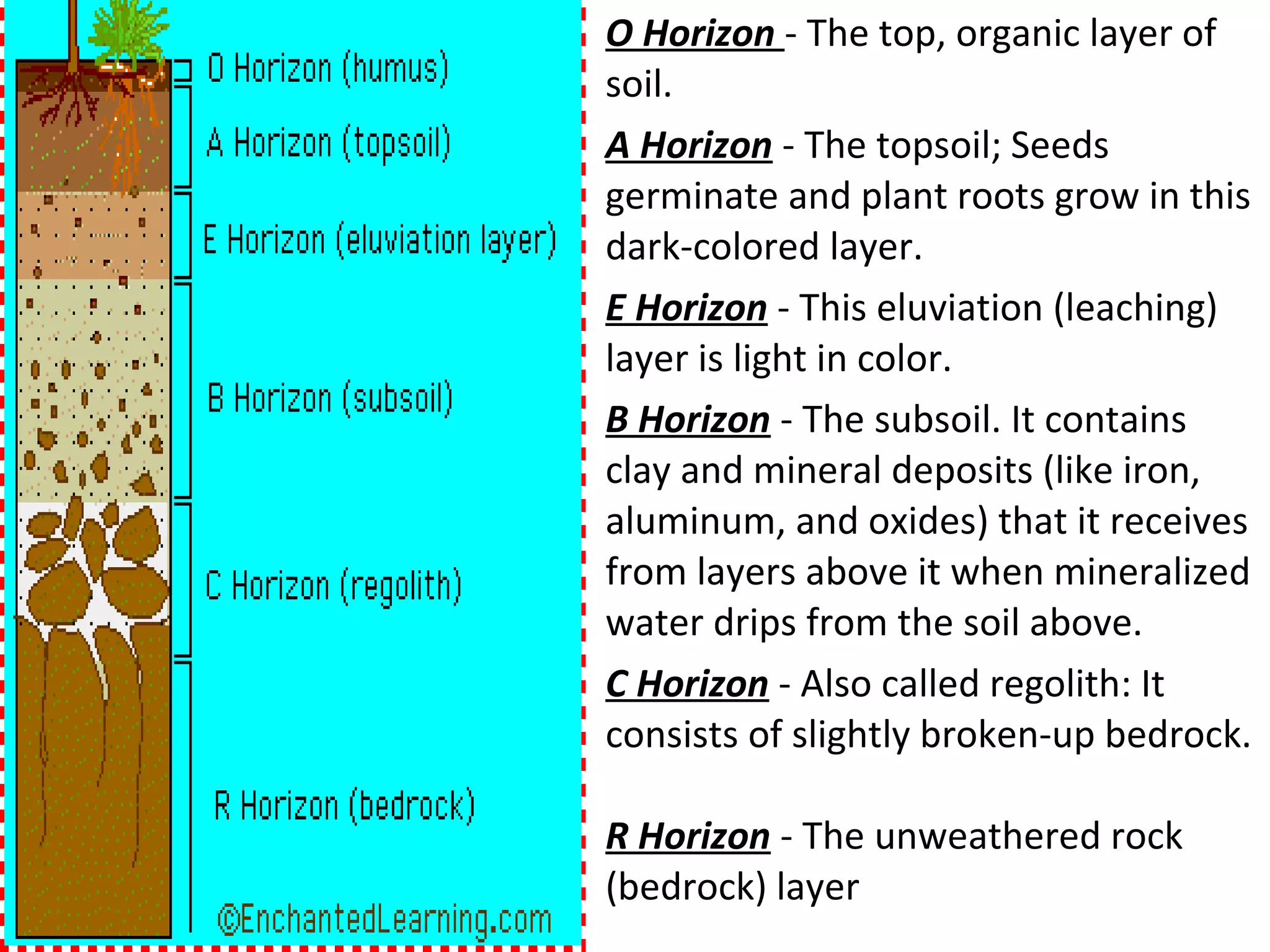 Soil and soil diversity | PPT