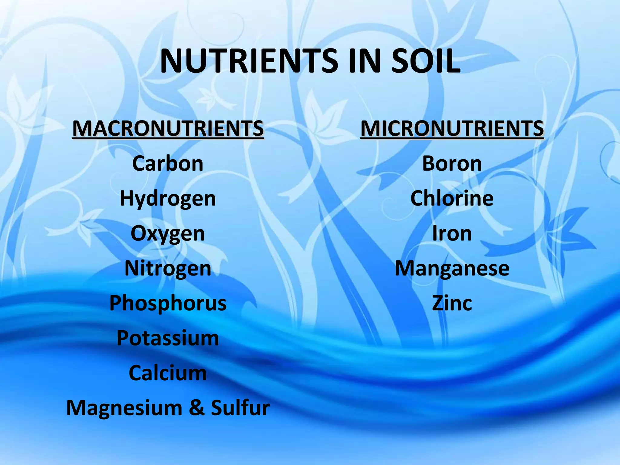 Soil and soil diversity | PPT