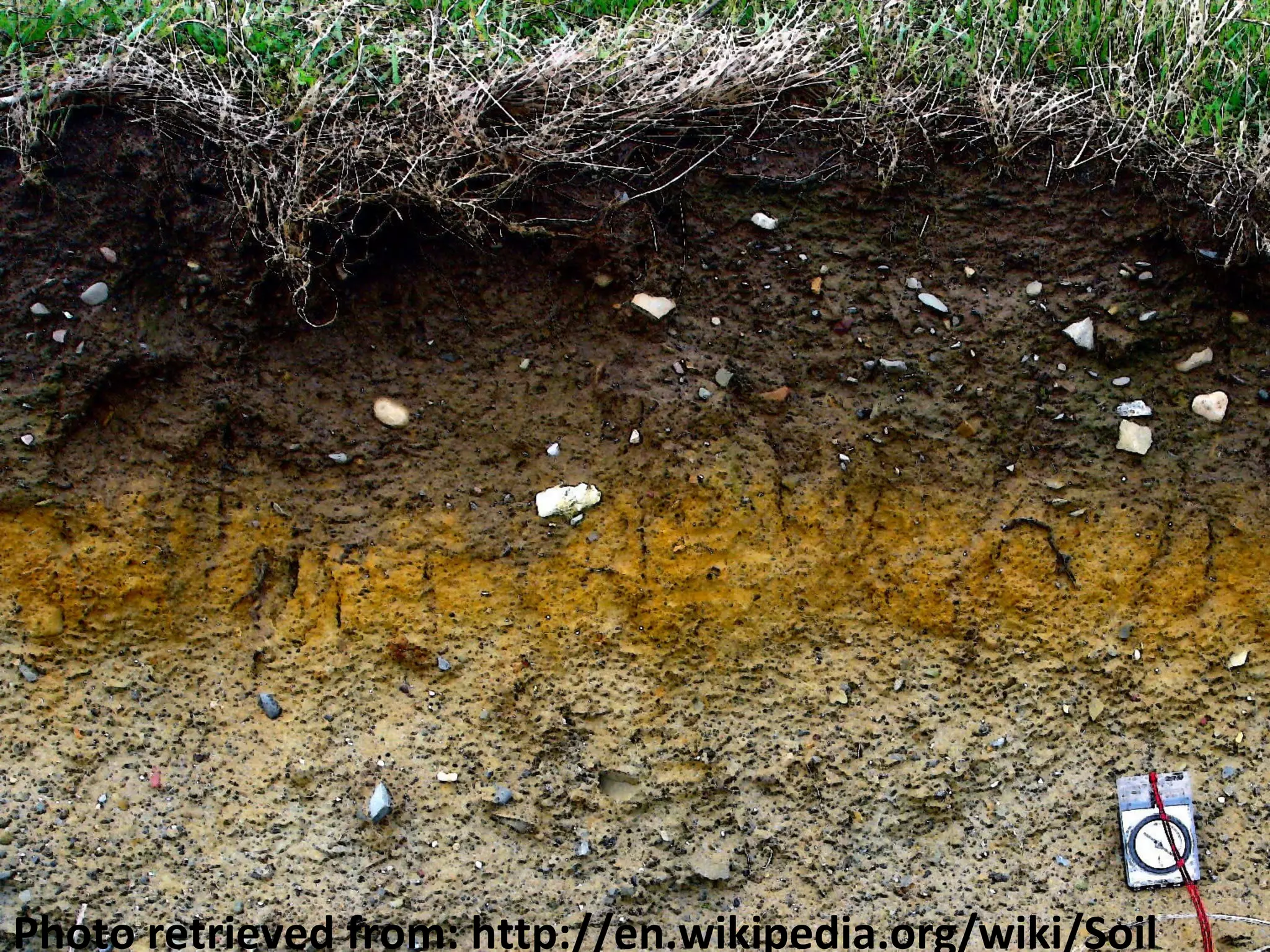 Soil and soil diversity | PPT