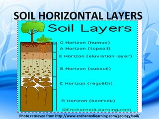 Soil and soil diversity | PPT
