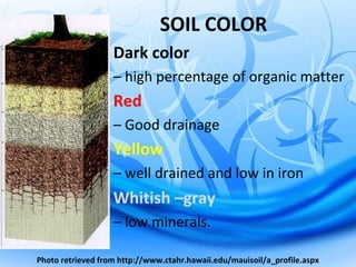 Soil and soil diversity | PPT