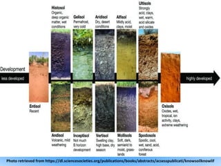 Soil and soil diversity | PPT
