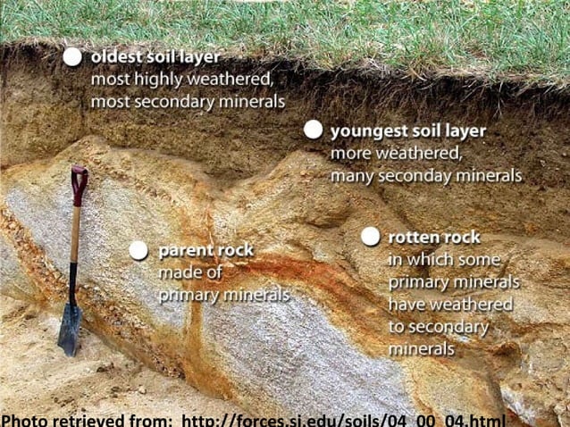 Soil and soil diversity | PPT | Agriculture | Industries