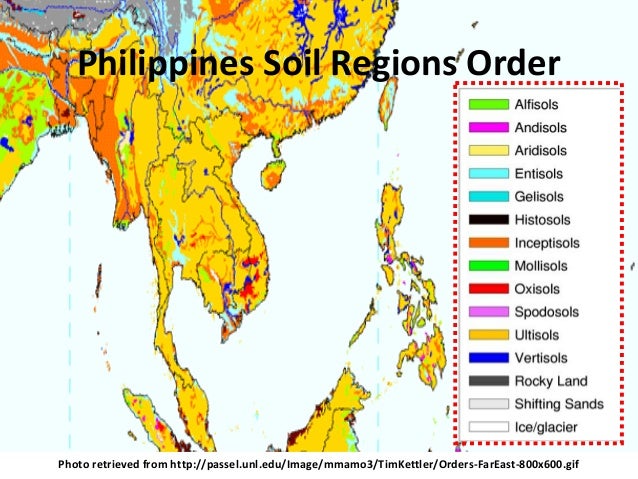 Soil and soil diversity