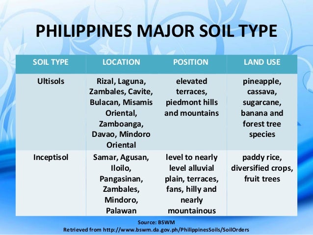Soil and soil diversity