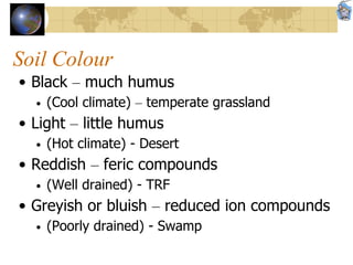 Soil and Soil Forming Processnes.ppt.pdf