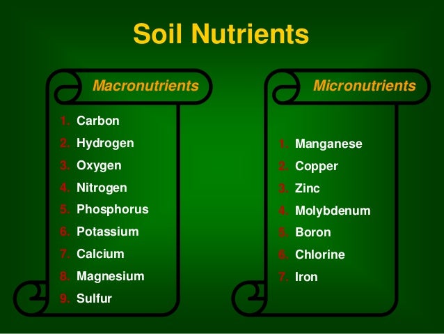 Soil and soil nutrient management in ofc production