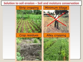 Soil and water conservation for Dry Zone of Sri Lanka | PPT